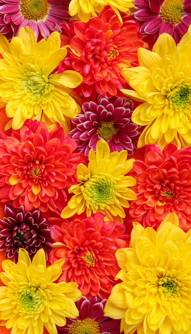 Contact Us - Ruby Memorial Home